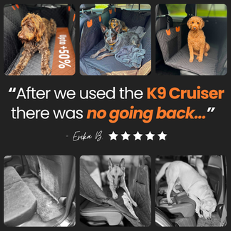K9 Cruiser – PetsVet Supply