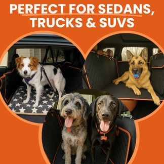 K9 Cruiser – PetsVet Supply