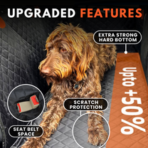 K9 Cruiser – PetsVet Supply