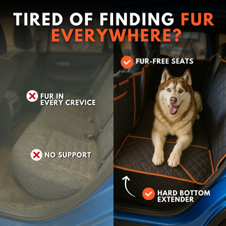 K9 Cruiser - XL – PetsVet Supply
