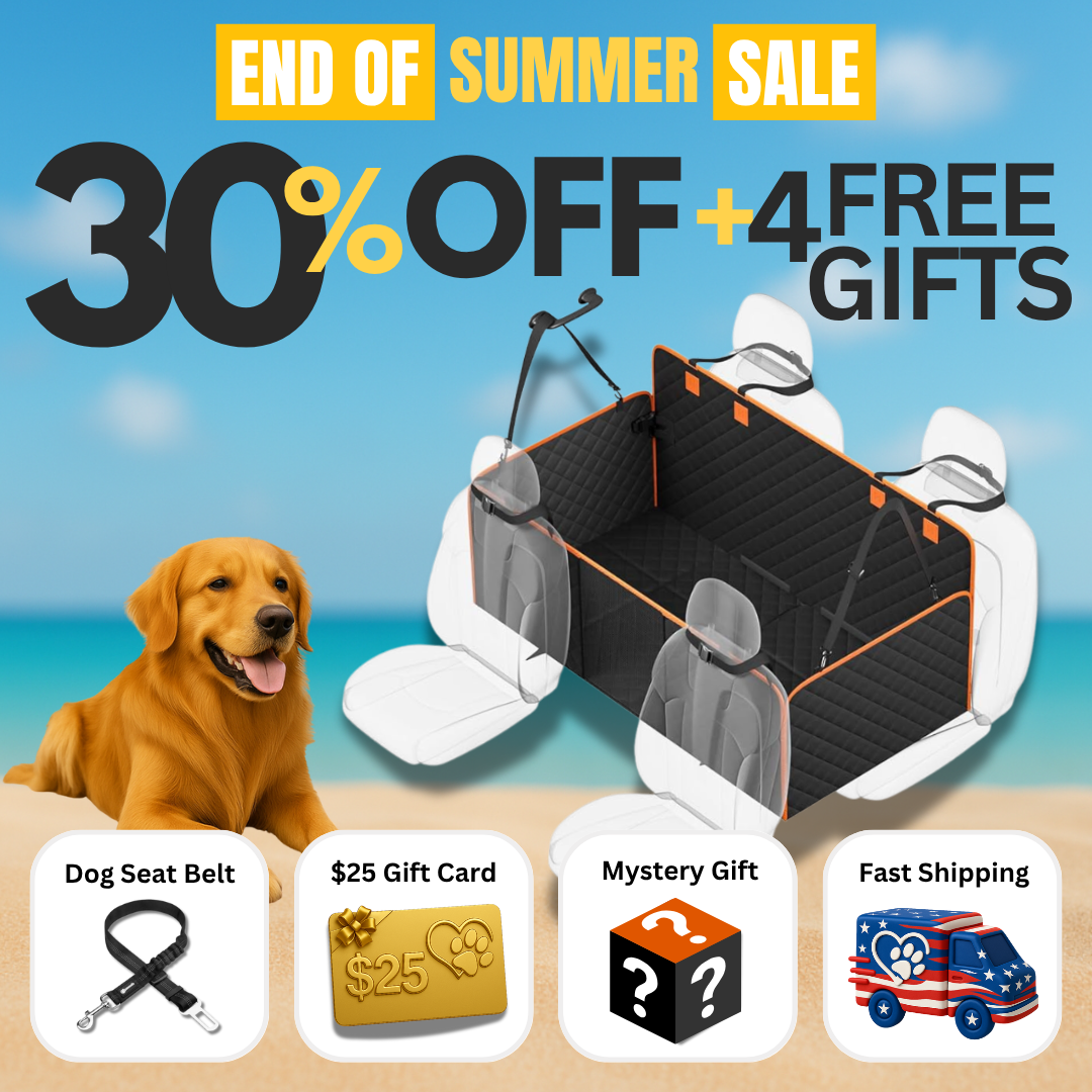 K9 Cruiser – PetsVet Supply