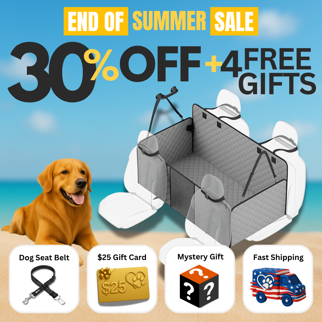 K9 Cruiser - Grey – PetsVet Supply