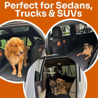 K9 Cruiser - XL – PetsVet Supply