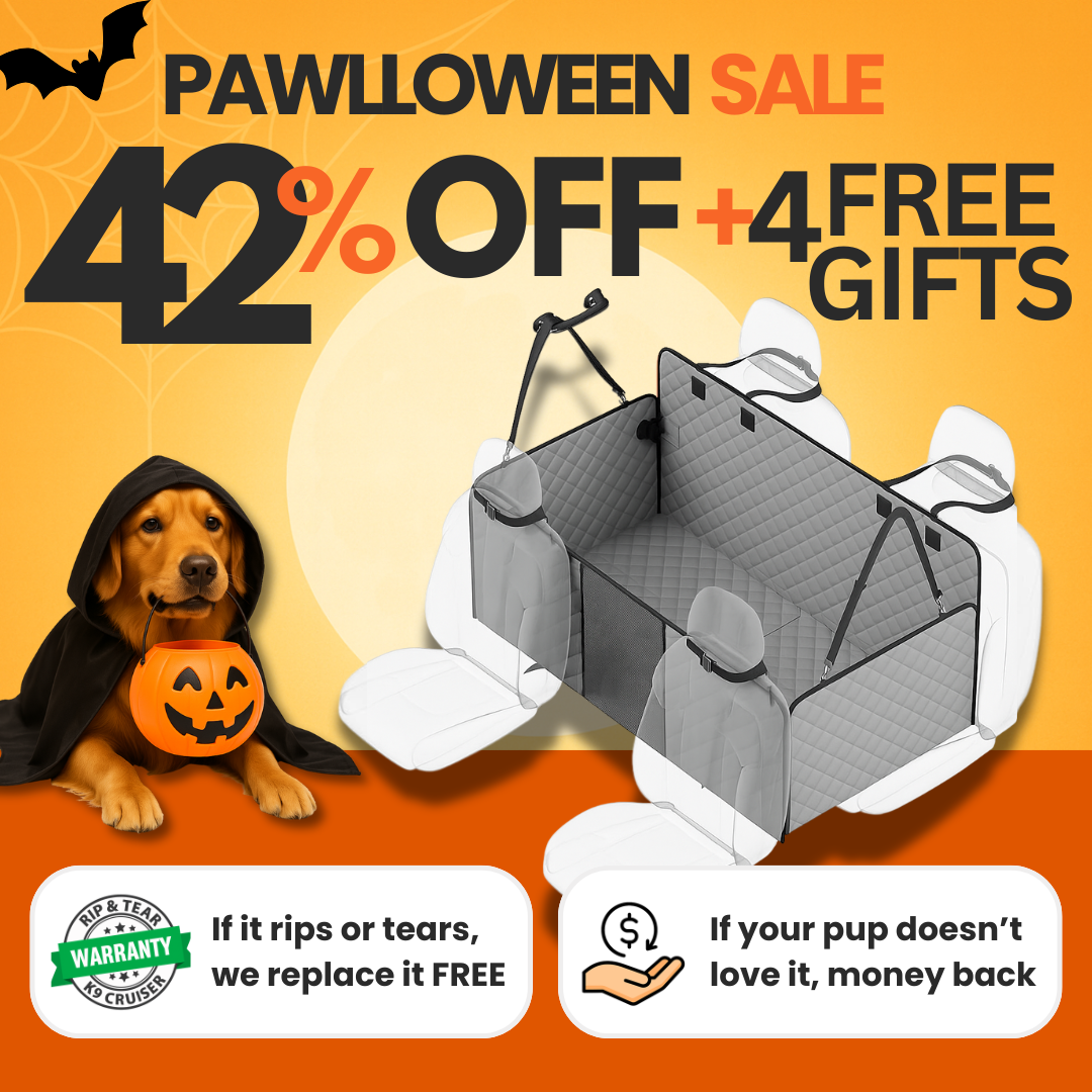 K9 Cruiser - Grey – PetsVet Supply
