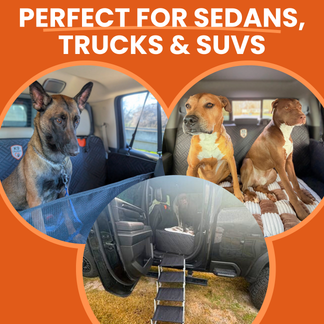 K9 Cruiser – PetsVet Supply