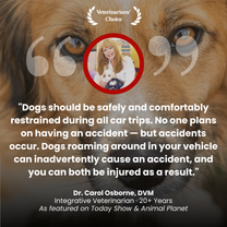 K9 Cruiser – PetsVet Supply
