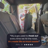 K9 Cruiser - XL – PetsVet Supply